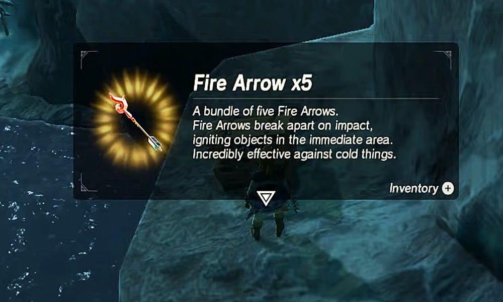 Breath of the Wild Link – complete guide | Xfire